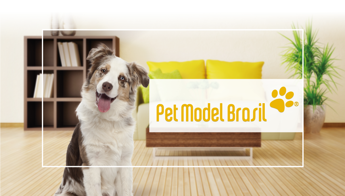 Pet Model Brasil